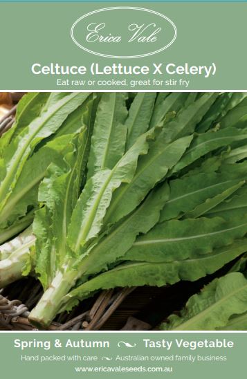 Celtuce – Buy Seeds Online
