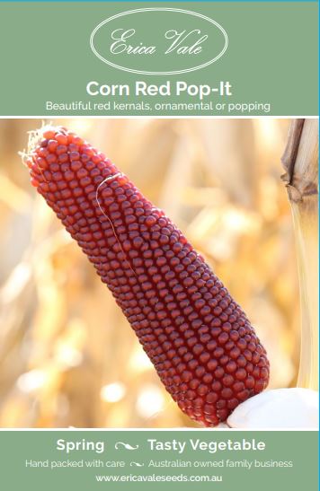 Corn Red Pop-it (Not for sale WA) – Buy Seeds Online