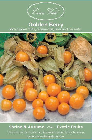 Golden Berry – Buy Seeds Online