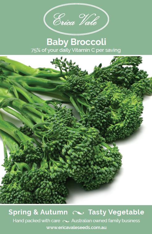 Baby Broccoli – Buy Seeds Online