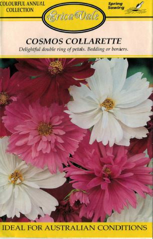 Cosmos Collarette – Buy Seeds Online