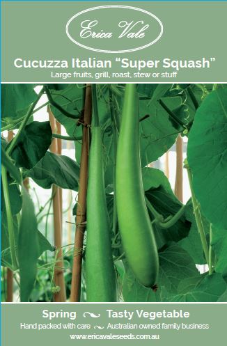 Cucuzza Italian "Super Squash" – Buy Seeds Online