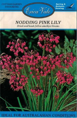 Nodding Pink Lily – Buy Seeds Online